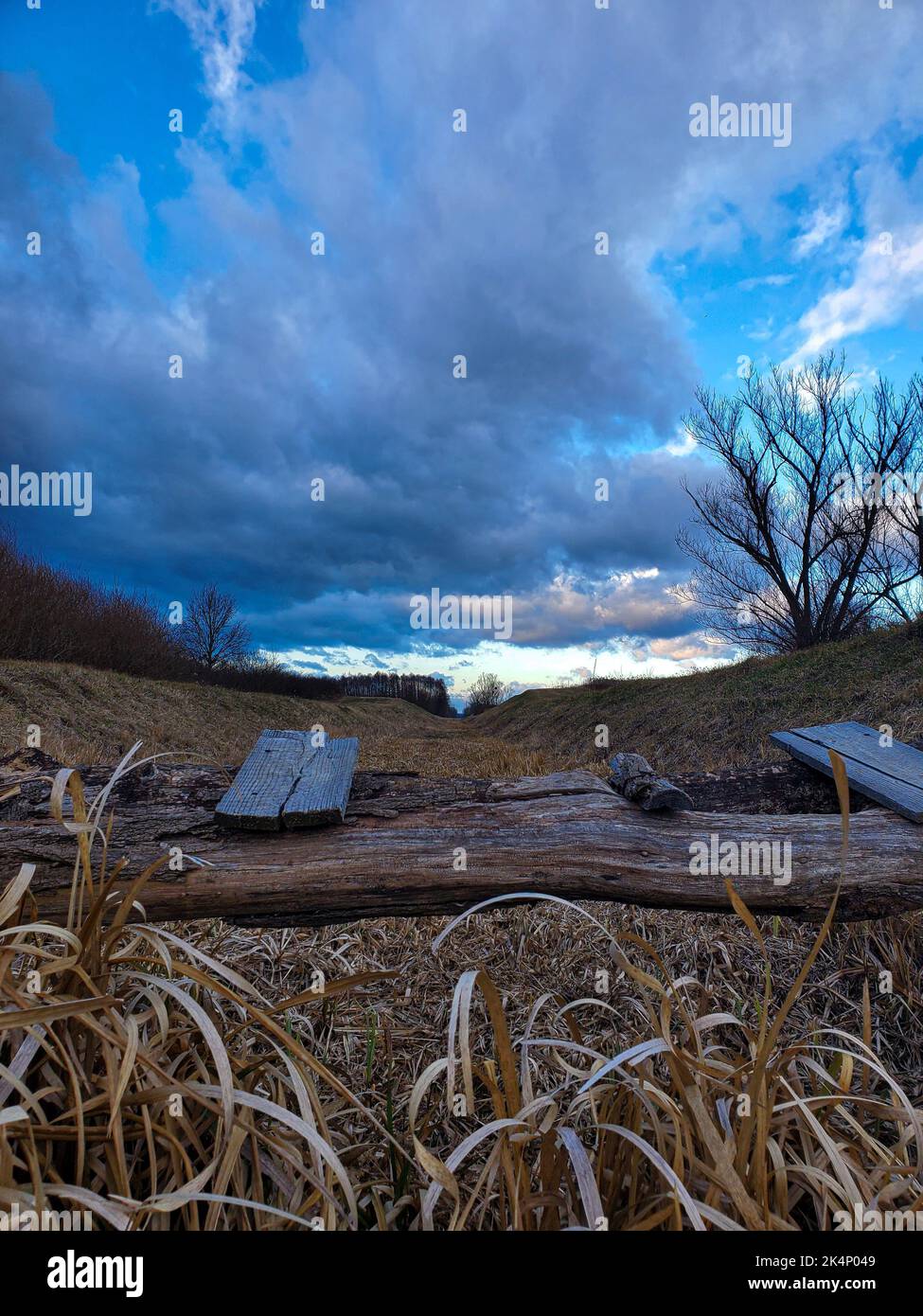 A vertical cloudscape with dry grass and woods under Stock Photo - Alamy