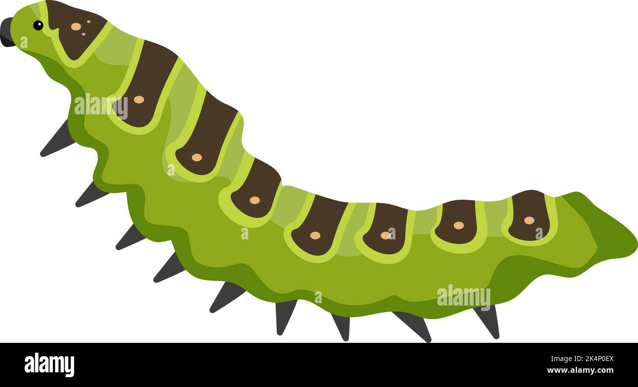 Green caterpillar, illustration, vector on a white background Stock ...