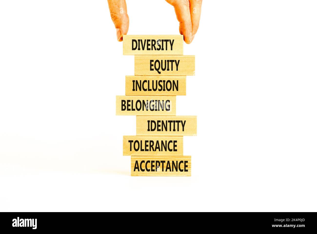 Diversity, inclusion symbol. Diversity belonging inclusion equity ...