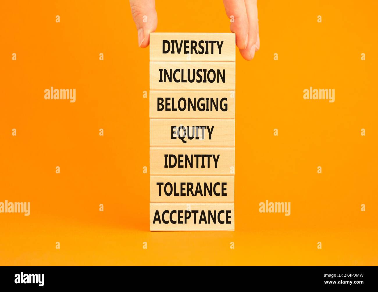 Diversity, inclusion symbol. Diversity belonging inclusion equity ...