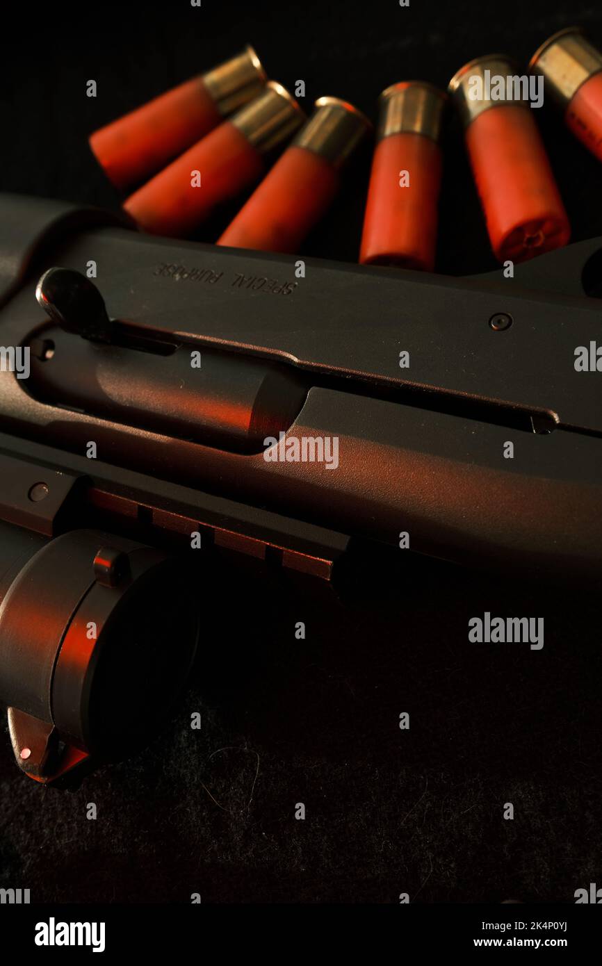 Closeup shotgun shutter. Hunting semi-automatic shotgun with wooden ...