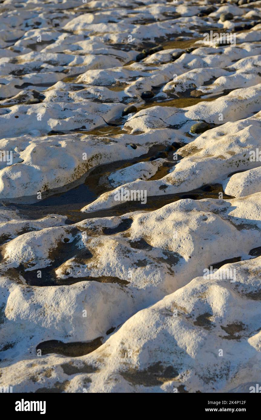 Limestone chalk rocks on the beach at Newhaven, Sussex, UK Stock Photo ...