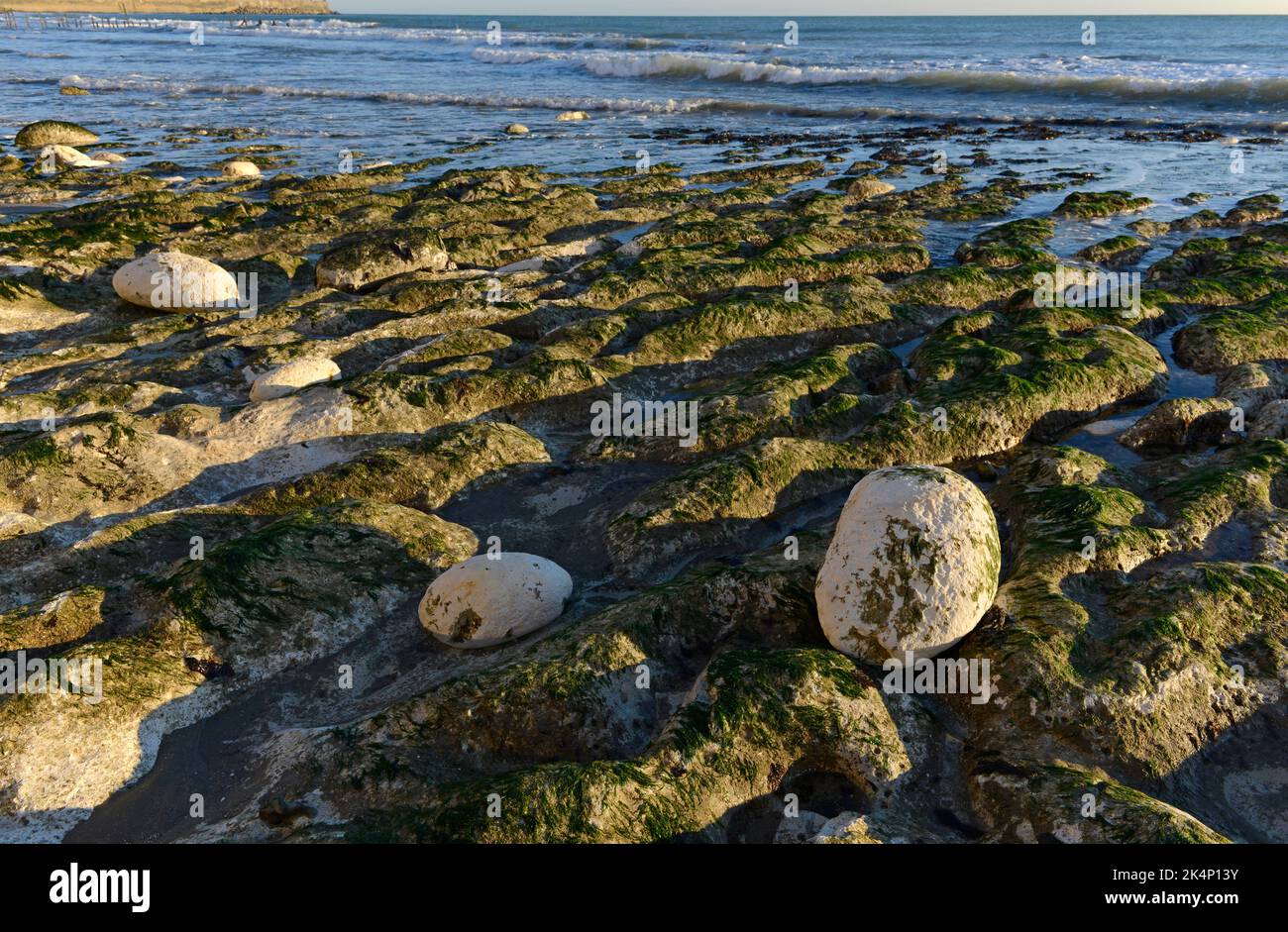 Limestone chalk rocks on the beach at Newhaven, Sussex, UK Stock Photo ...