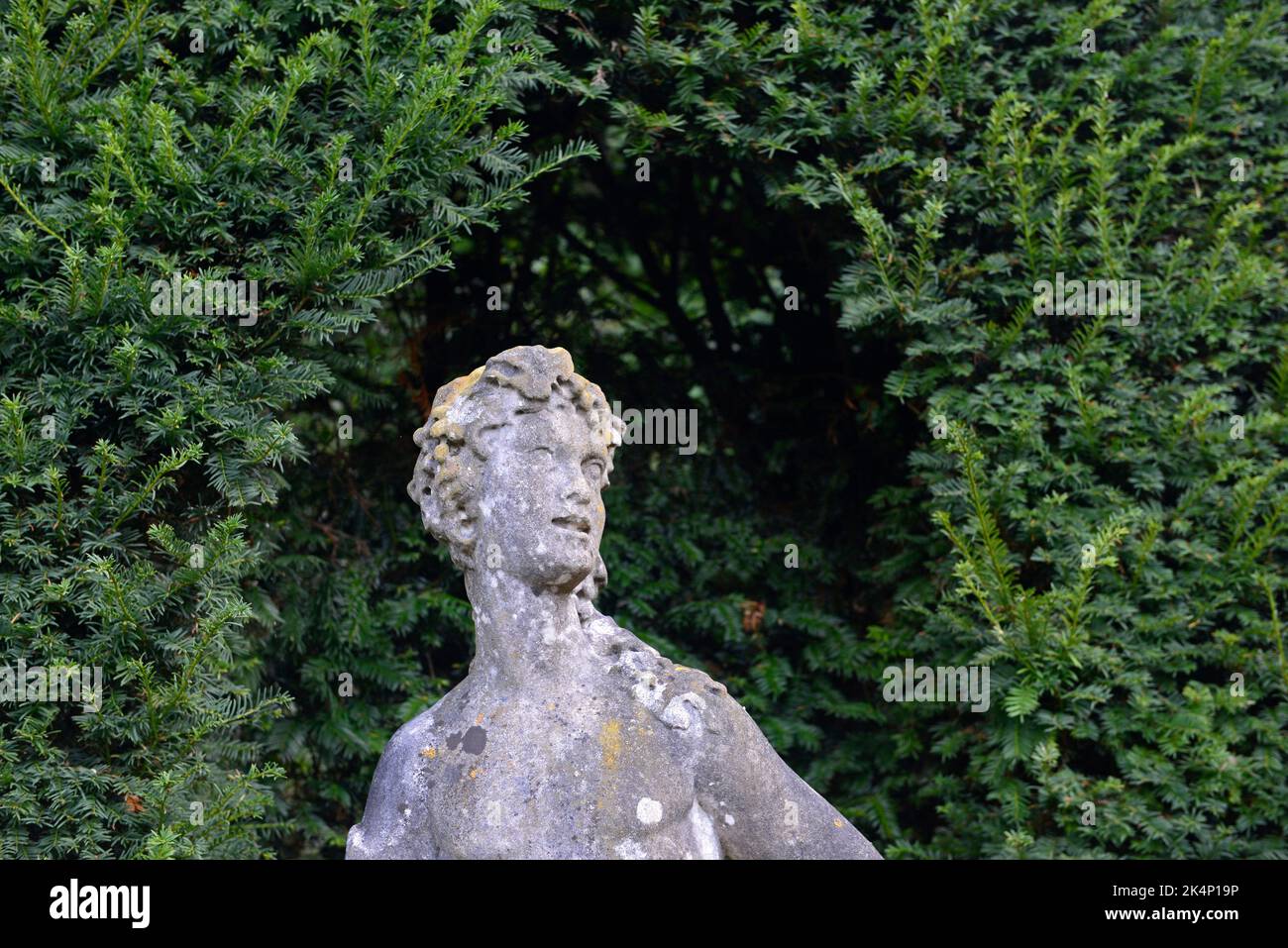 Statue in front of a Yew hedge in a garden near Bath, Somerset, UK ...