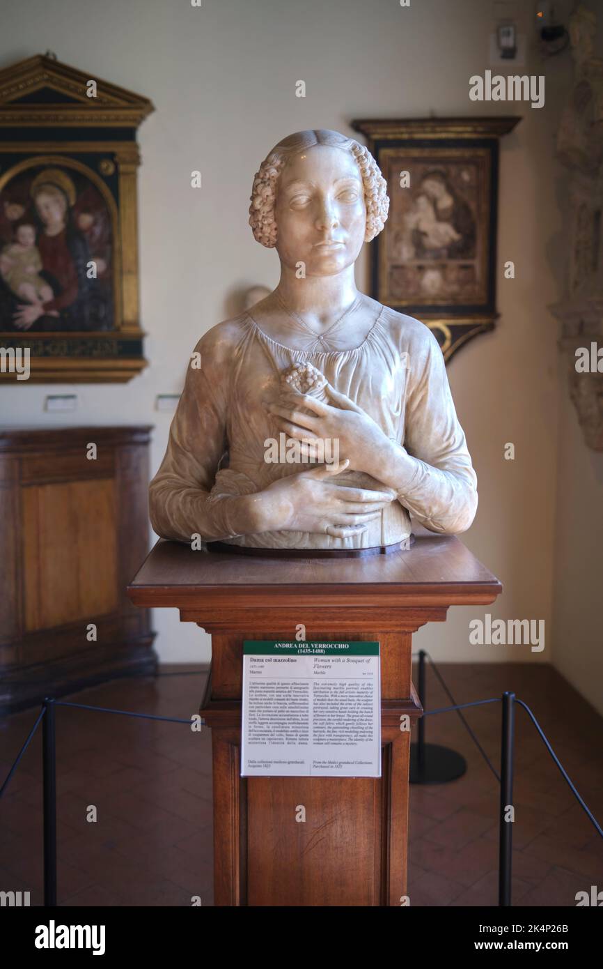 Andrea del verrocchio bargello hi-res stock photography and images - Alamy