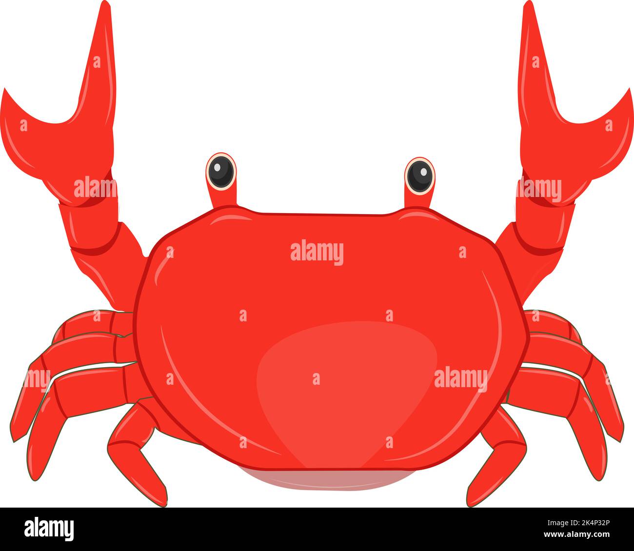 Red sea crab, illustration, vector on a white background Stock Vector ...