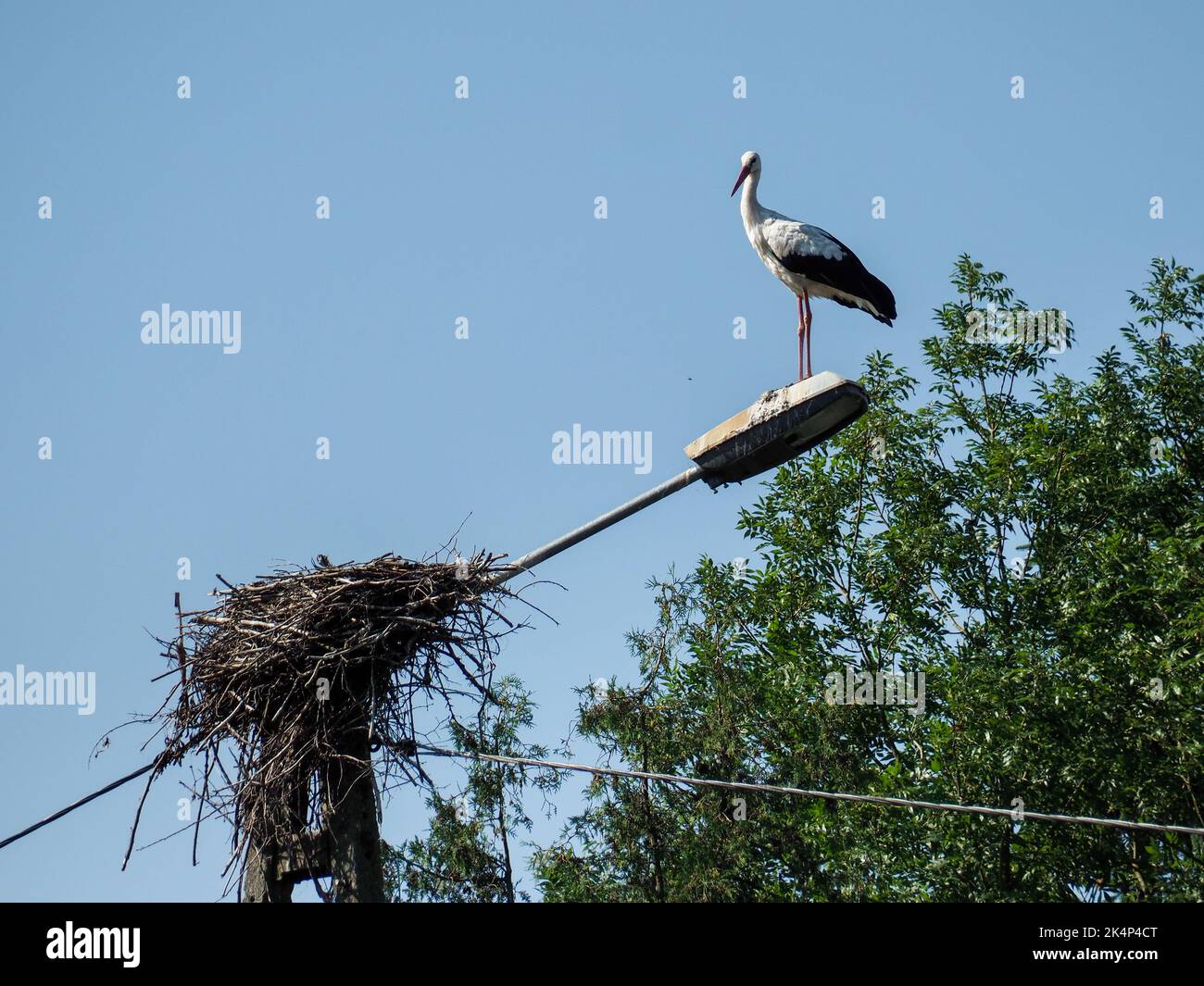 Zywkowo, Poland -: Land famous for the world's largest concentration of ...