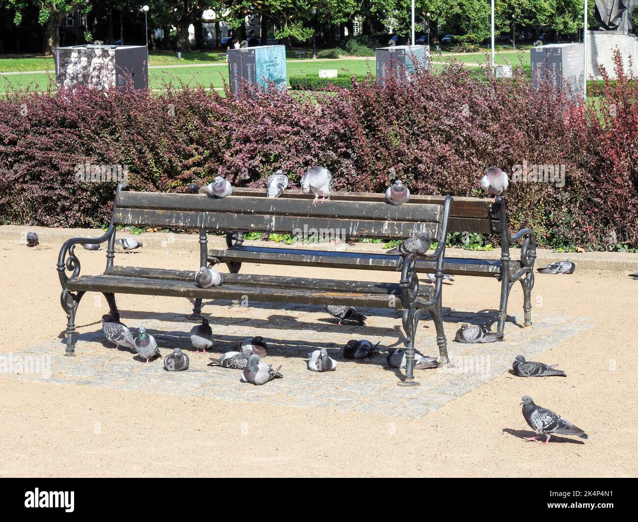Leaning on a bench hi-res stock photography and images - Alamy