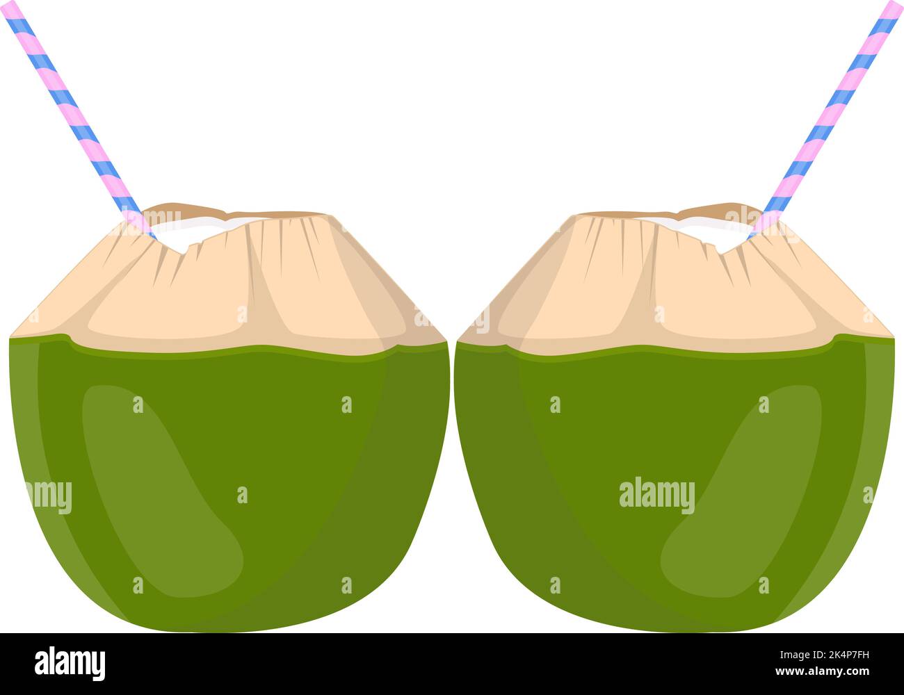 Coconut water, illustration, vector on a white background Stock Vector ...
