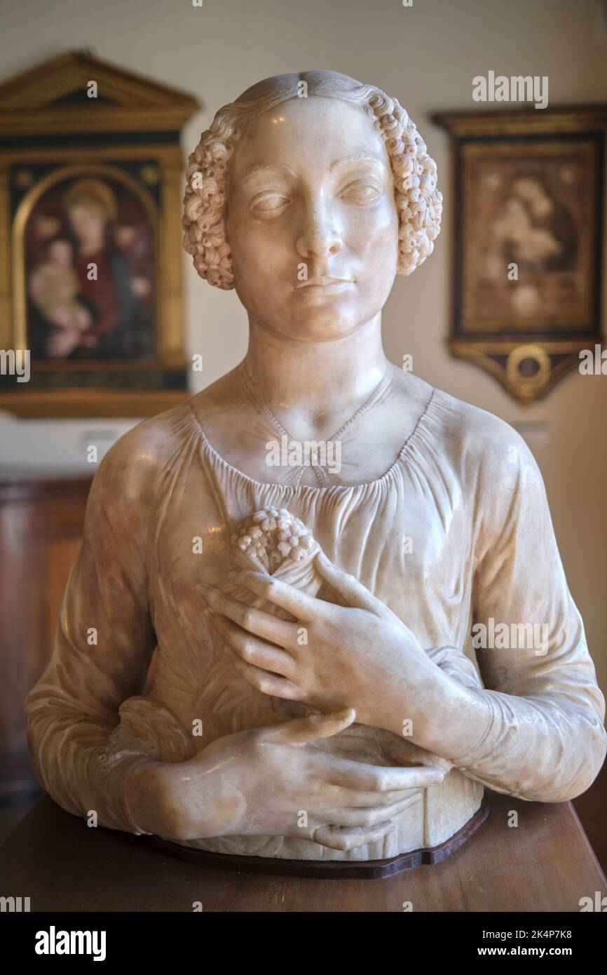 Andrea del verrocchio bargello hi-res stock photography and images - Alamy