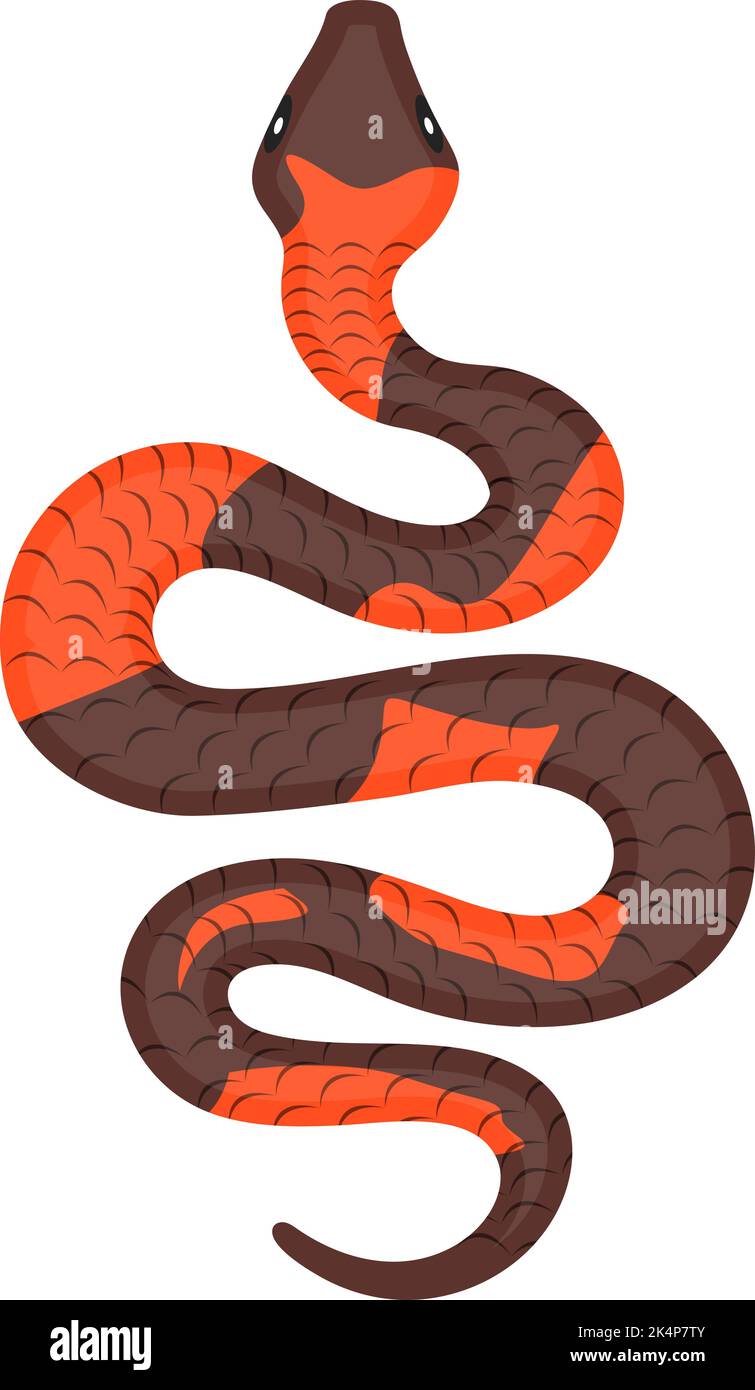 Poisonous snake, illustration, vector on a white background Stock ...
