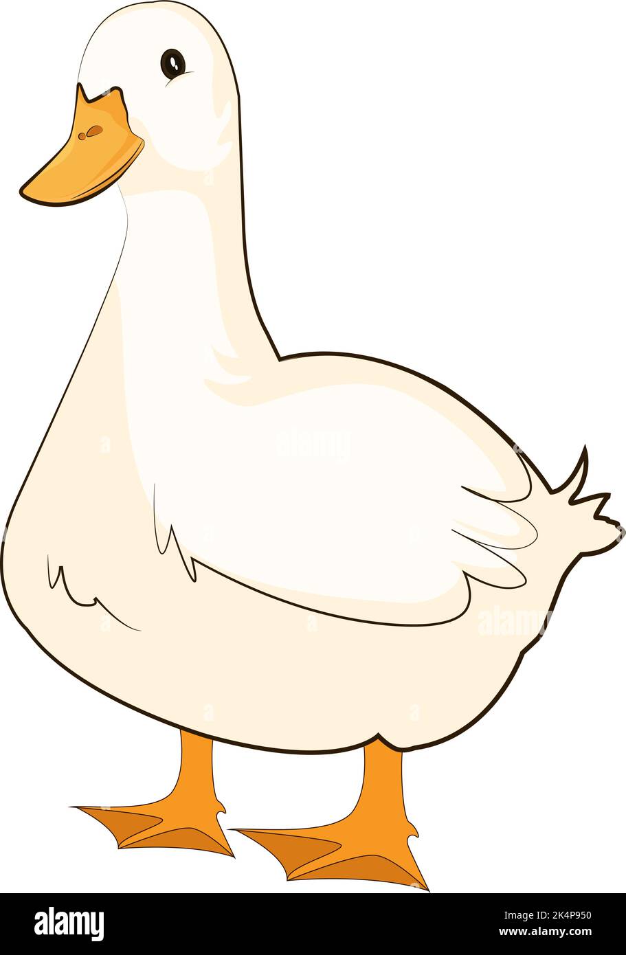White duck, illustration, vector on a white background Stock Vector ...