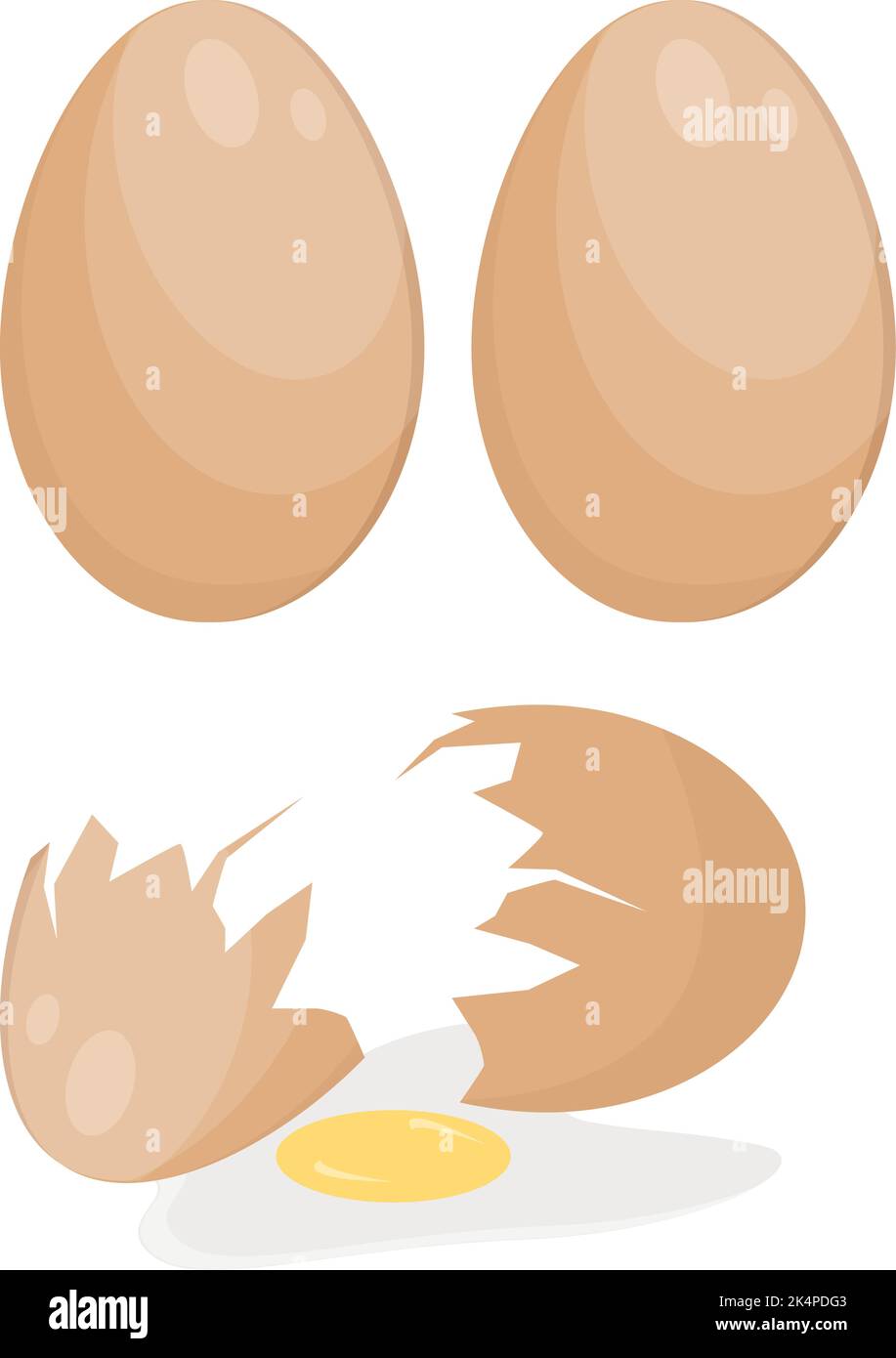 Two cracked eggs, illustration, vector on a white background Stock ...
