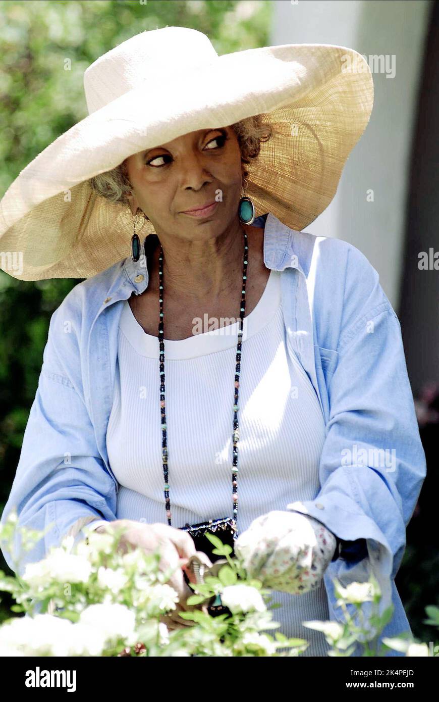 NICHELLE NICHOLS, TRU LOVED, 2008 Stock Photo - Alamy