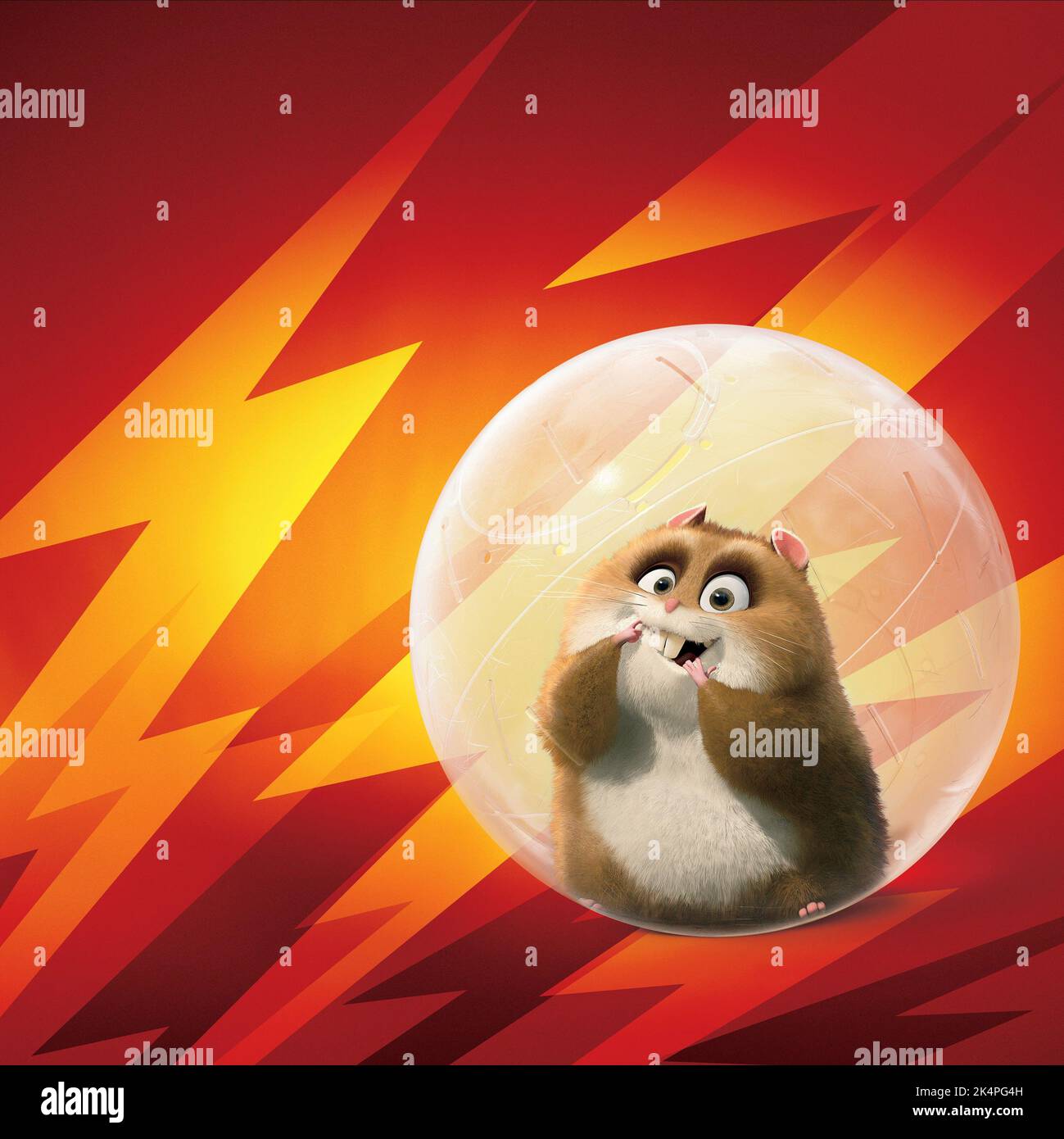 Rhino chris hi-res stock photography and images - Alamy