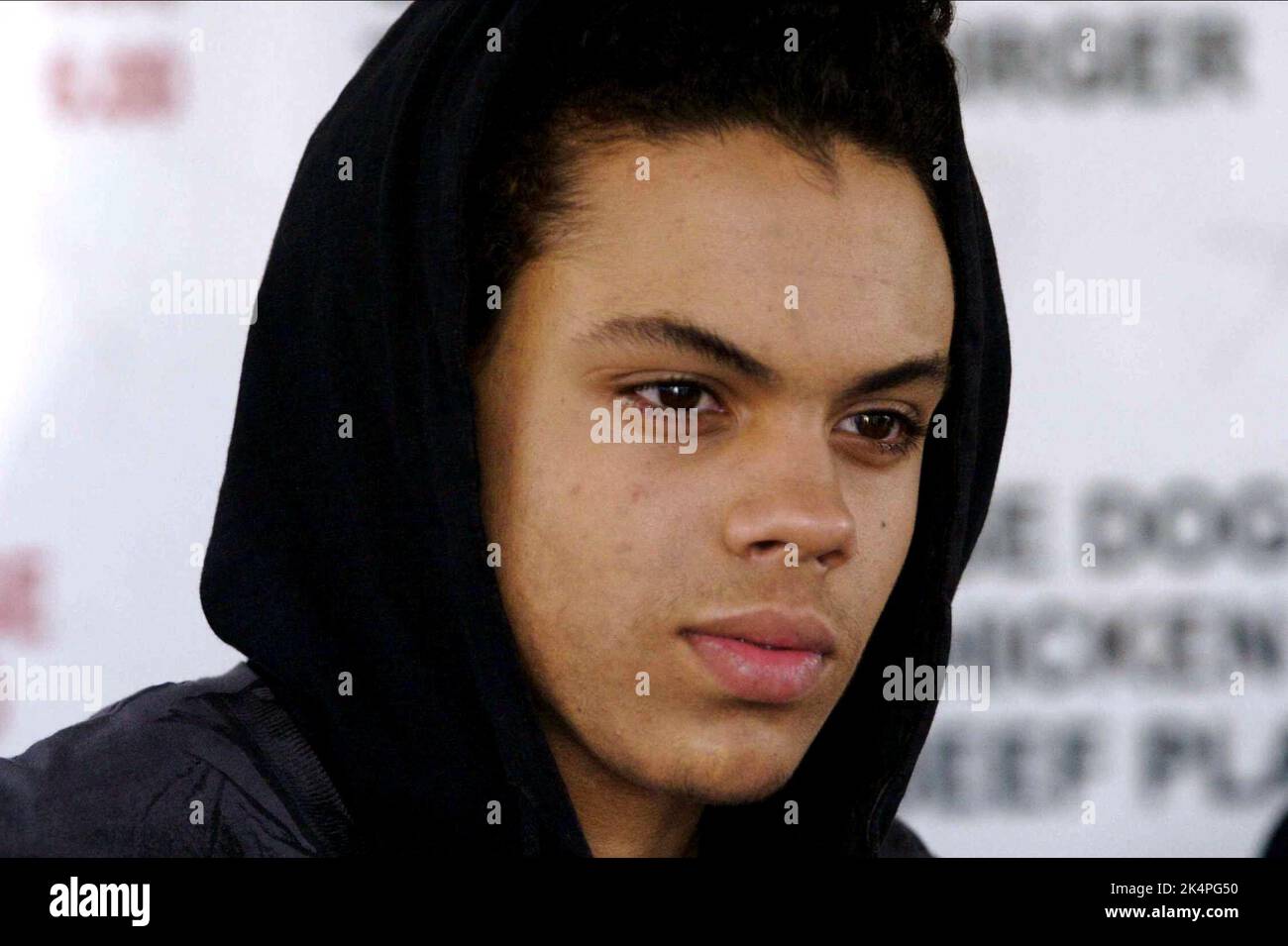 EVAN ROSS, GARDENS OF THE NIGHT, 2008 Stock Photo - Alamy