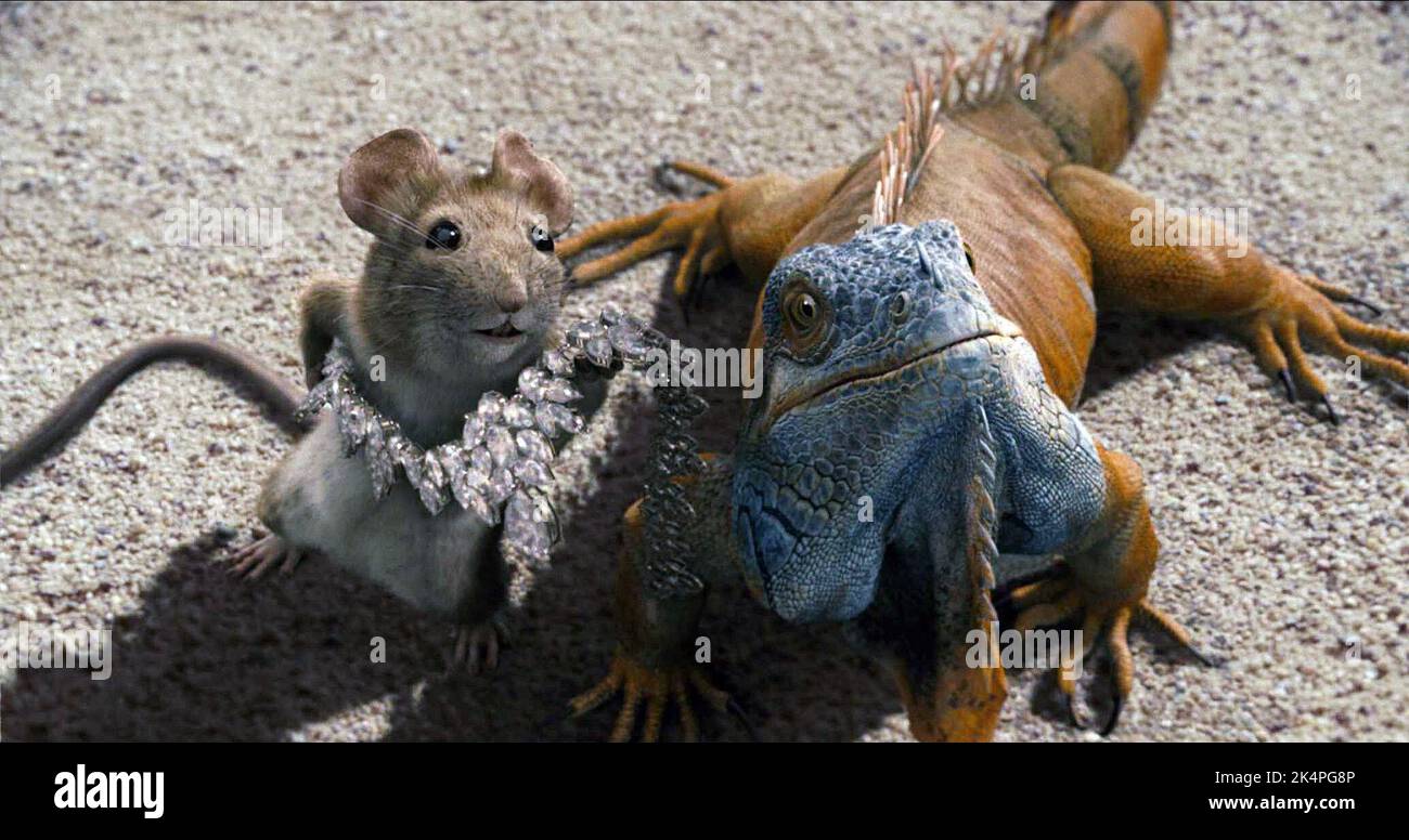 Beverly hills chihuahua lizard hi-res stock photography and images - Alamy