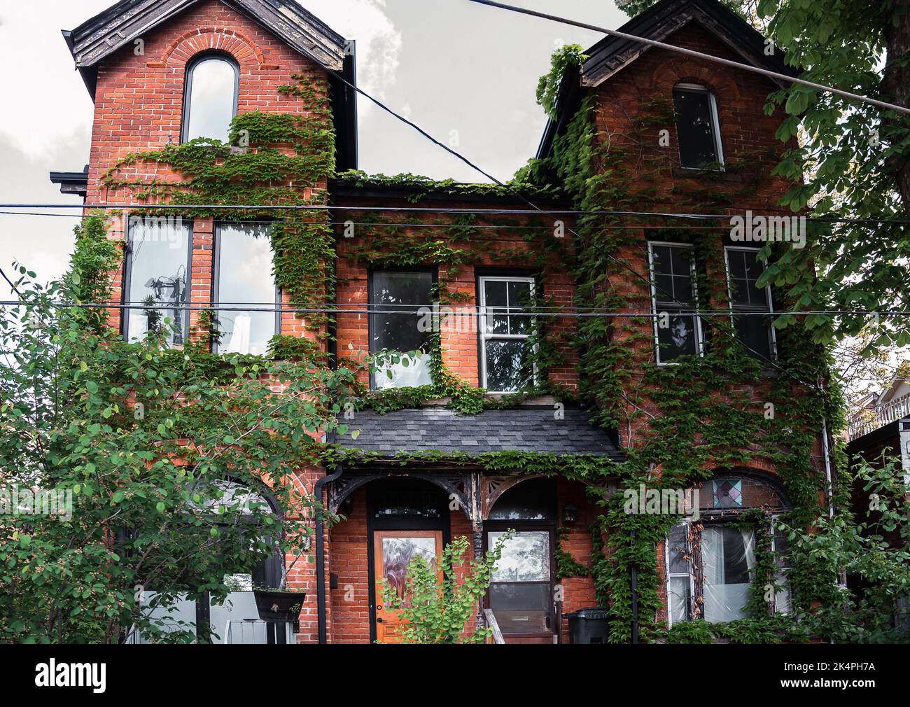 Red brick building with climbing ivy plant. Facade of an old house ...