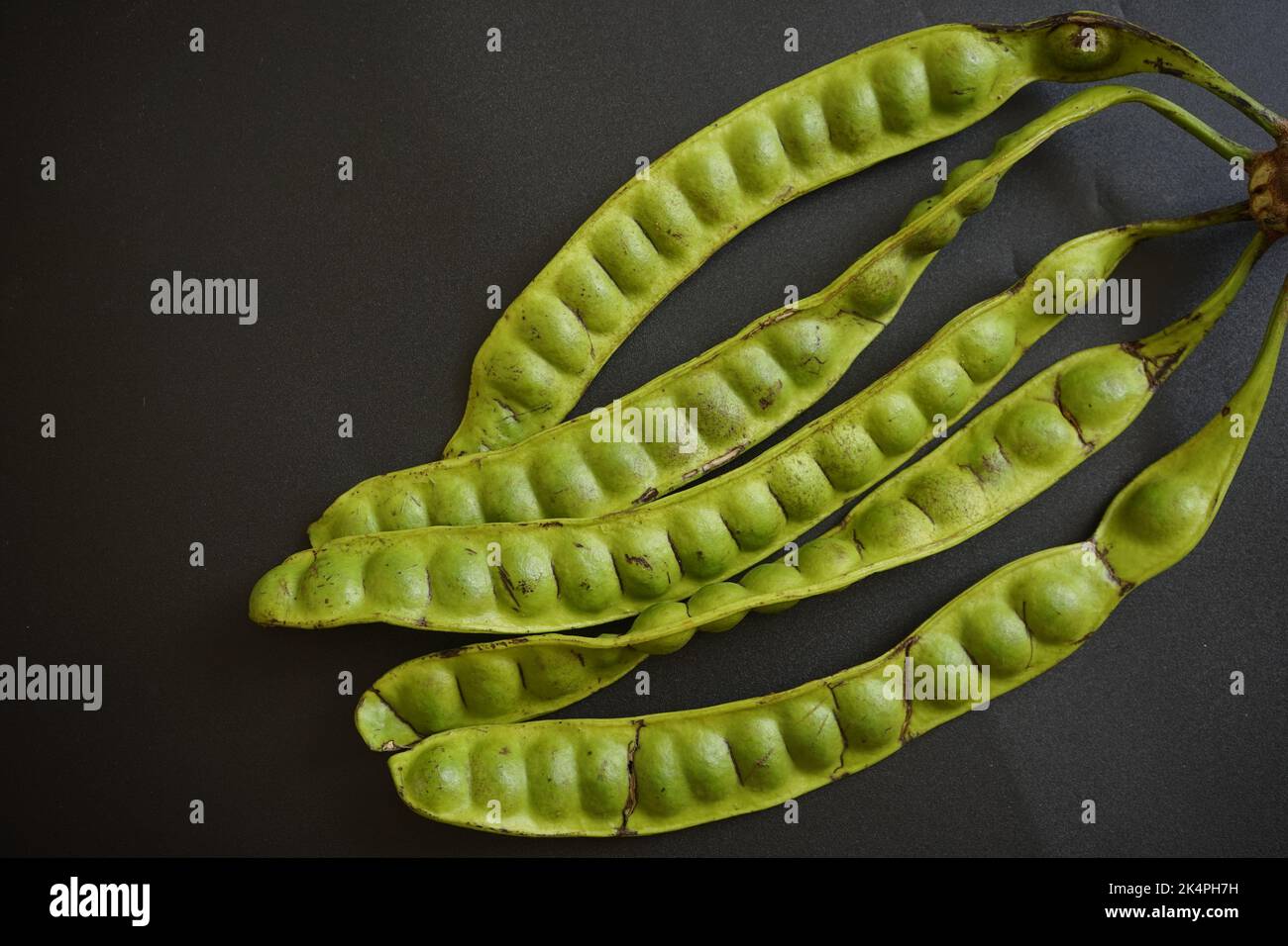 Pete in Indonesia is a tropical annual tree from the leguminous tribe ...