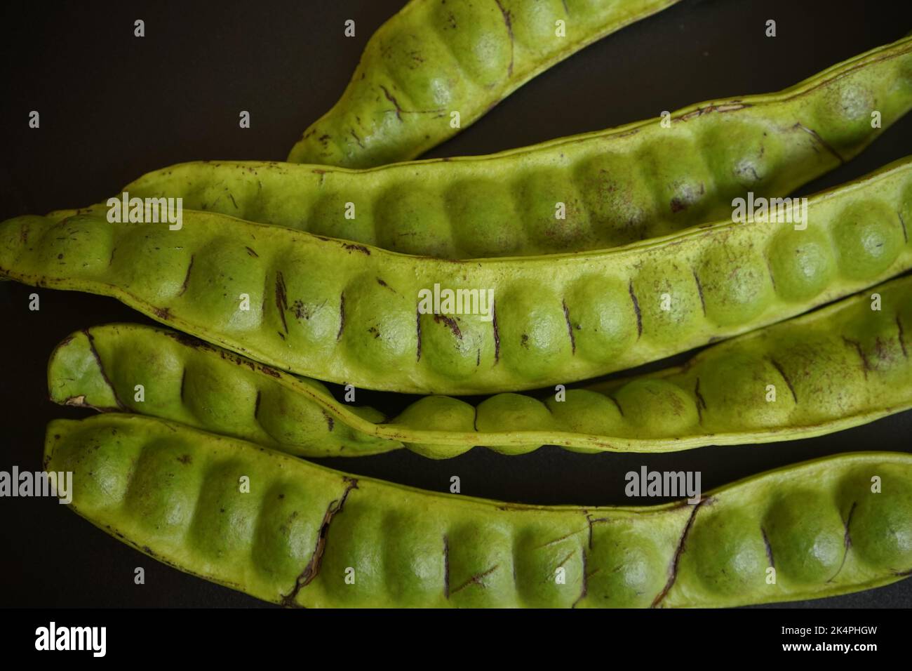 Pete in Indonesia is a tropical annual tree from the leguminous tribe ...