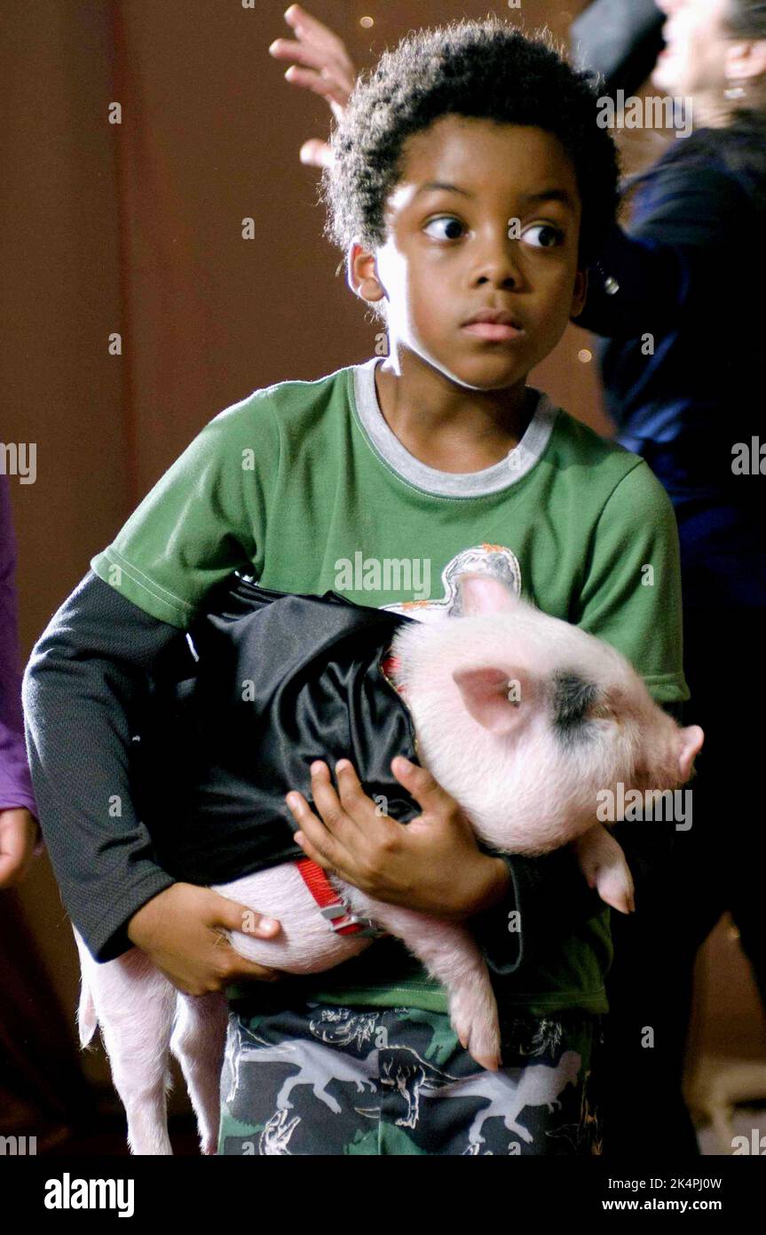 ALBERT THE PIG, ESHAYA DRAPER, COLLEGE ROAD TRIP, 2008 Stock Photo - Alamy