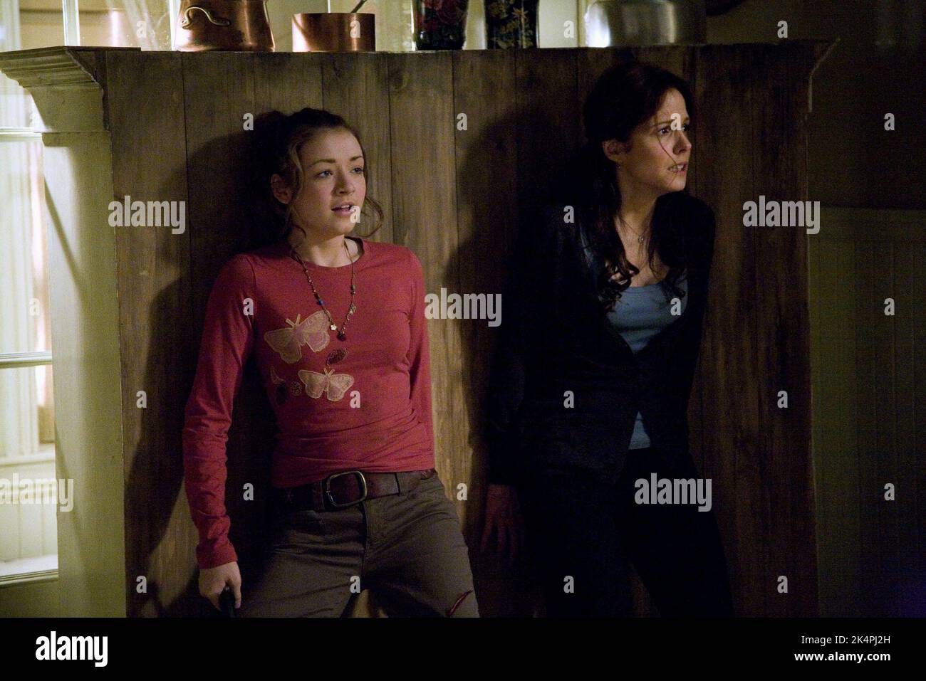 SARAH BOLGER, MARY LOUISE PARKER, THE SPIDERWICK CHRONICLES, 2008 Stock ...