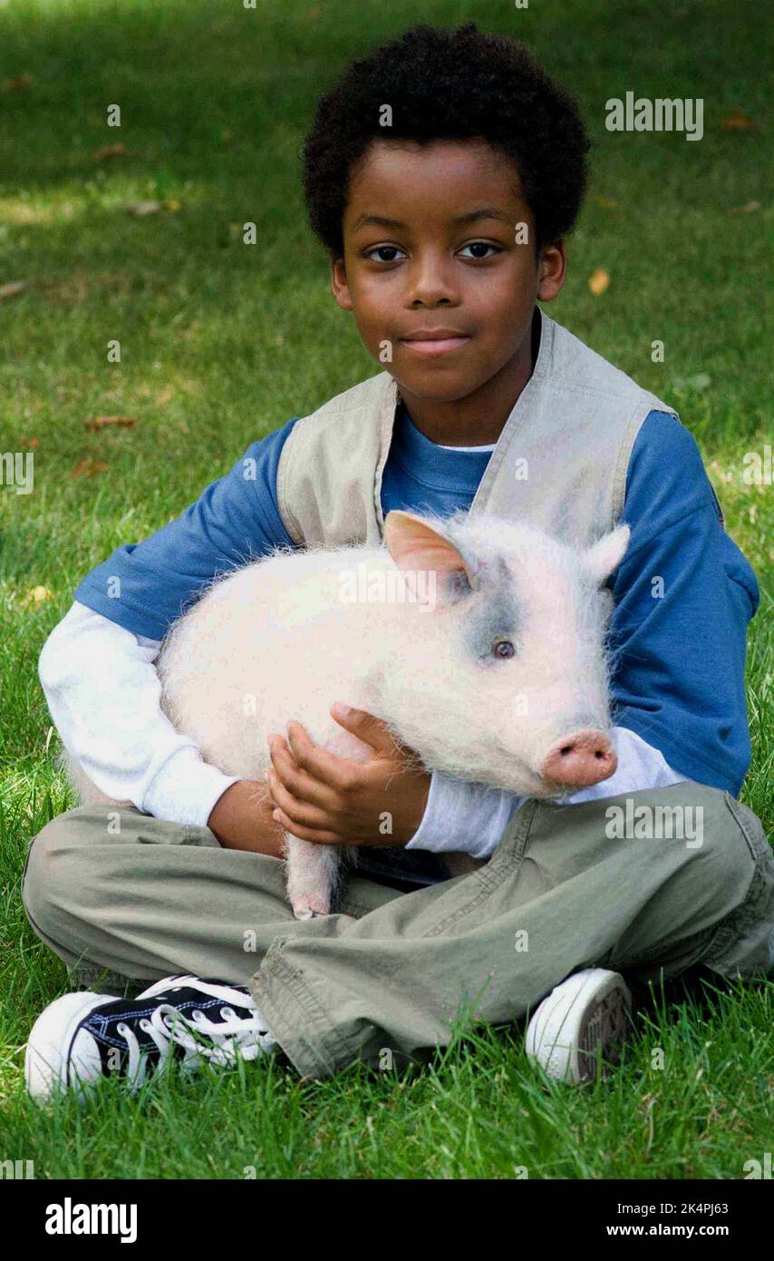 ESHAYA DRAPER, PIG, COLLEGE ROAD TRIP, 2008 Stock Photo - Alamy