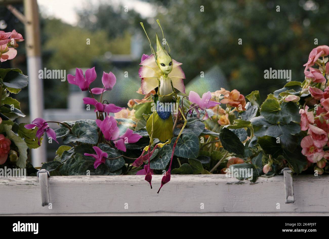 SPRITE, THE SPIDERWICK CHRONICLES, 2008 Stock Photo - Alamy