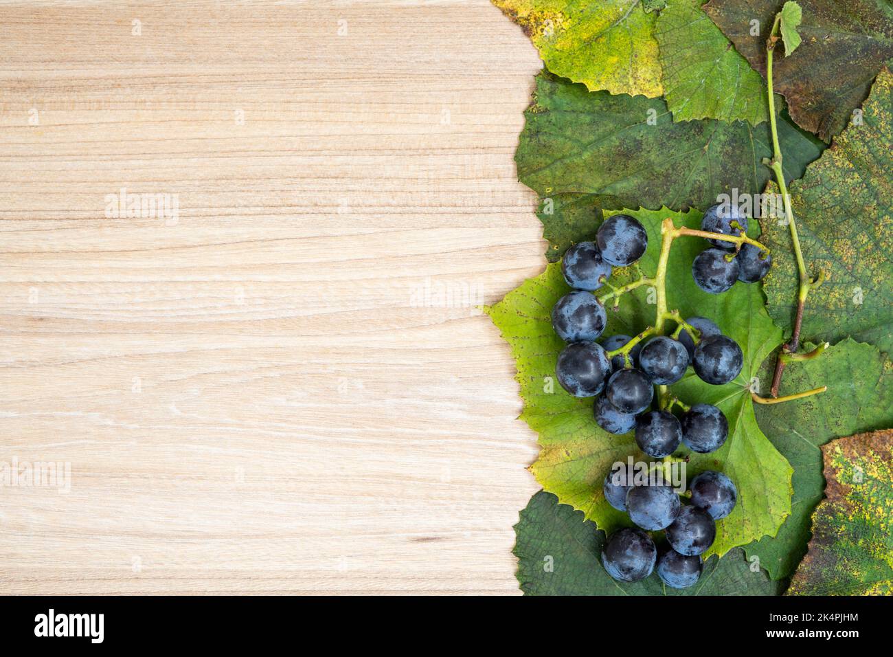 Presentation slide hi-res stock photography and images - Alamy