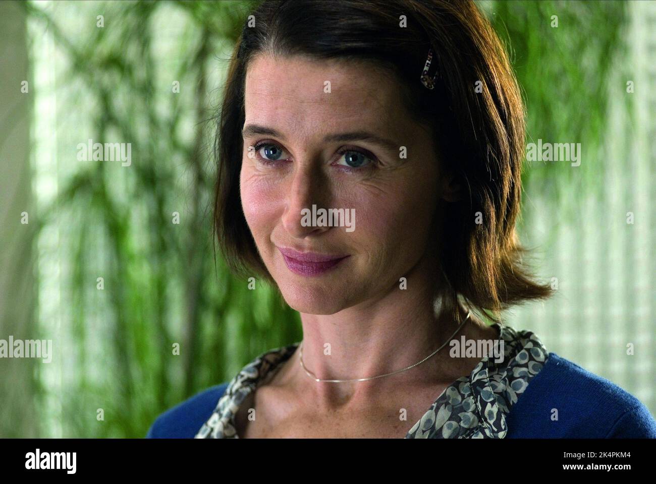 ANNE BROCHET, COMME LES AUTRES, 2008 Stock Photo - Alamy