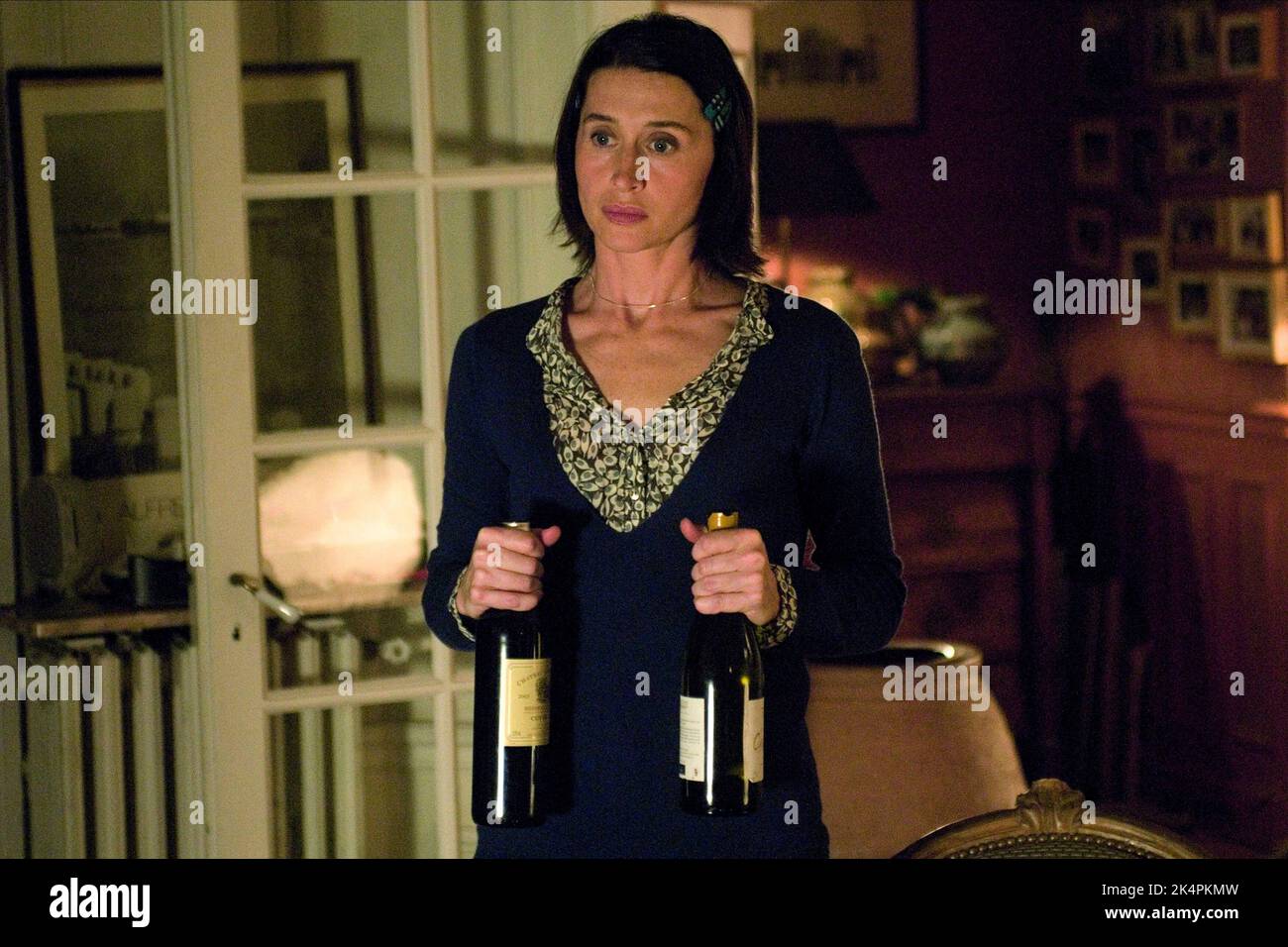 ANNE BROCHET, COMME LES AUTRES, 2008 Stock Photo - Alamy