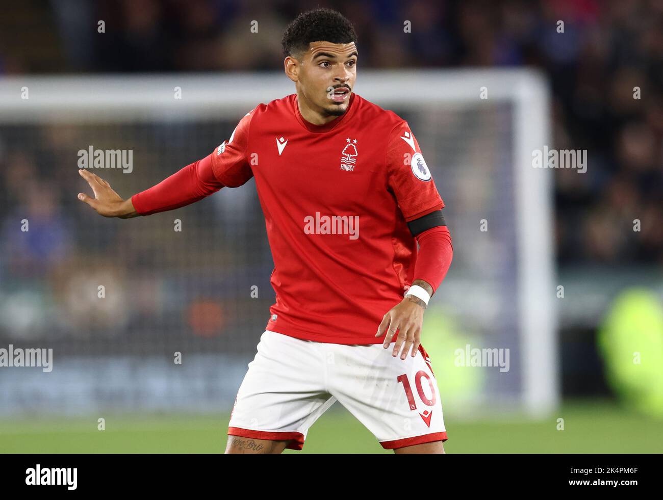 Morgan gibss white hi-res stock photography and images - Alamy