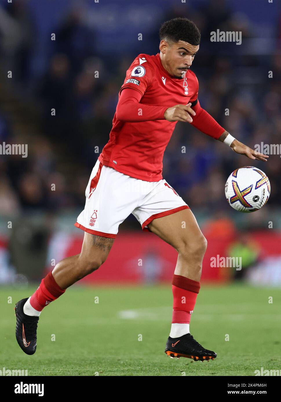 Morgan gibss white hi-res stock photography and images - Alamy