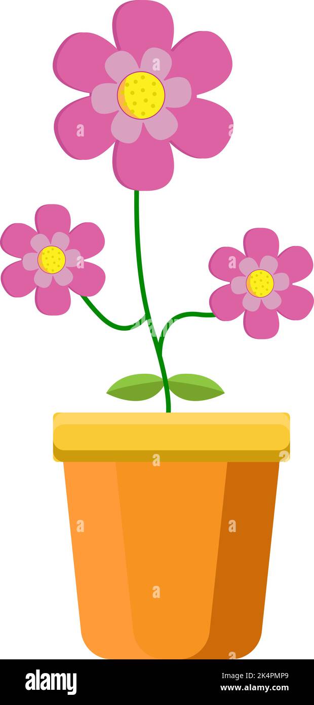 Narcissus daffodil flowers in Stock Vector Images - Alamy