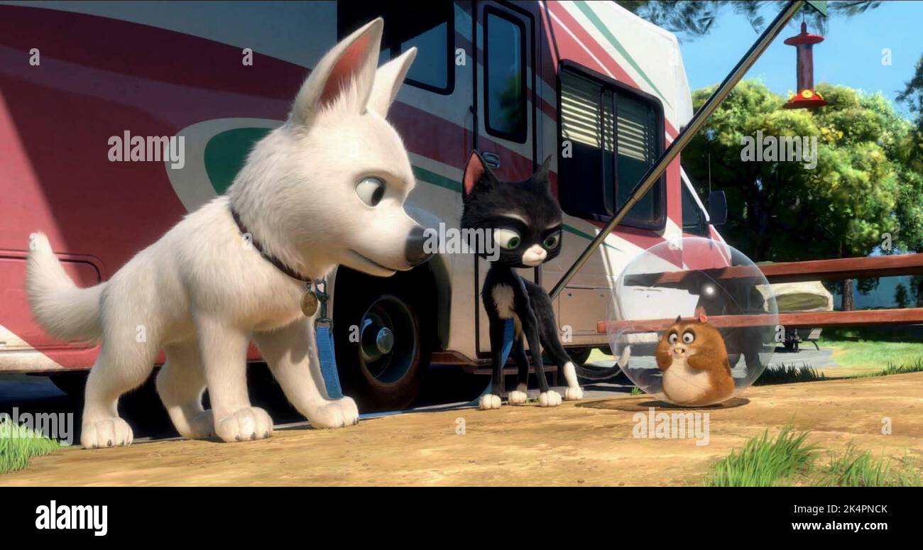 Cat movie star hi-res stock photography and images - Alamy