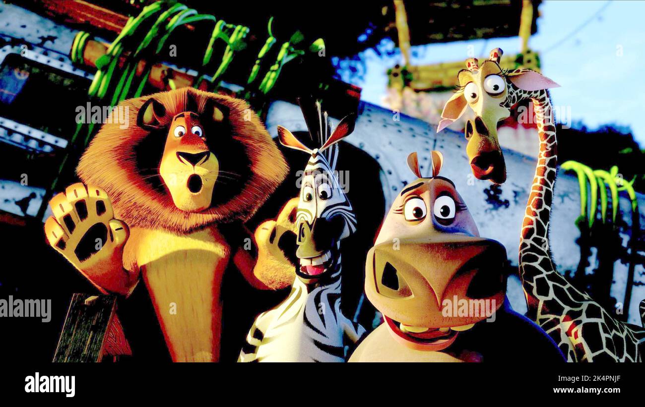 Madagascar 2 Zebras Madagascar 2 Zebras