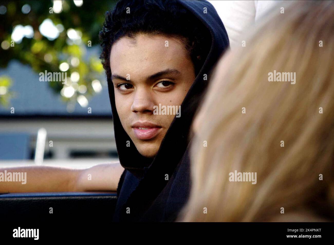 EVAN ROSS, GARDENS OF THE NIGHT, 2008 Stock Photo - Alamy