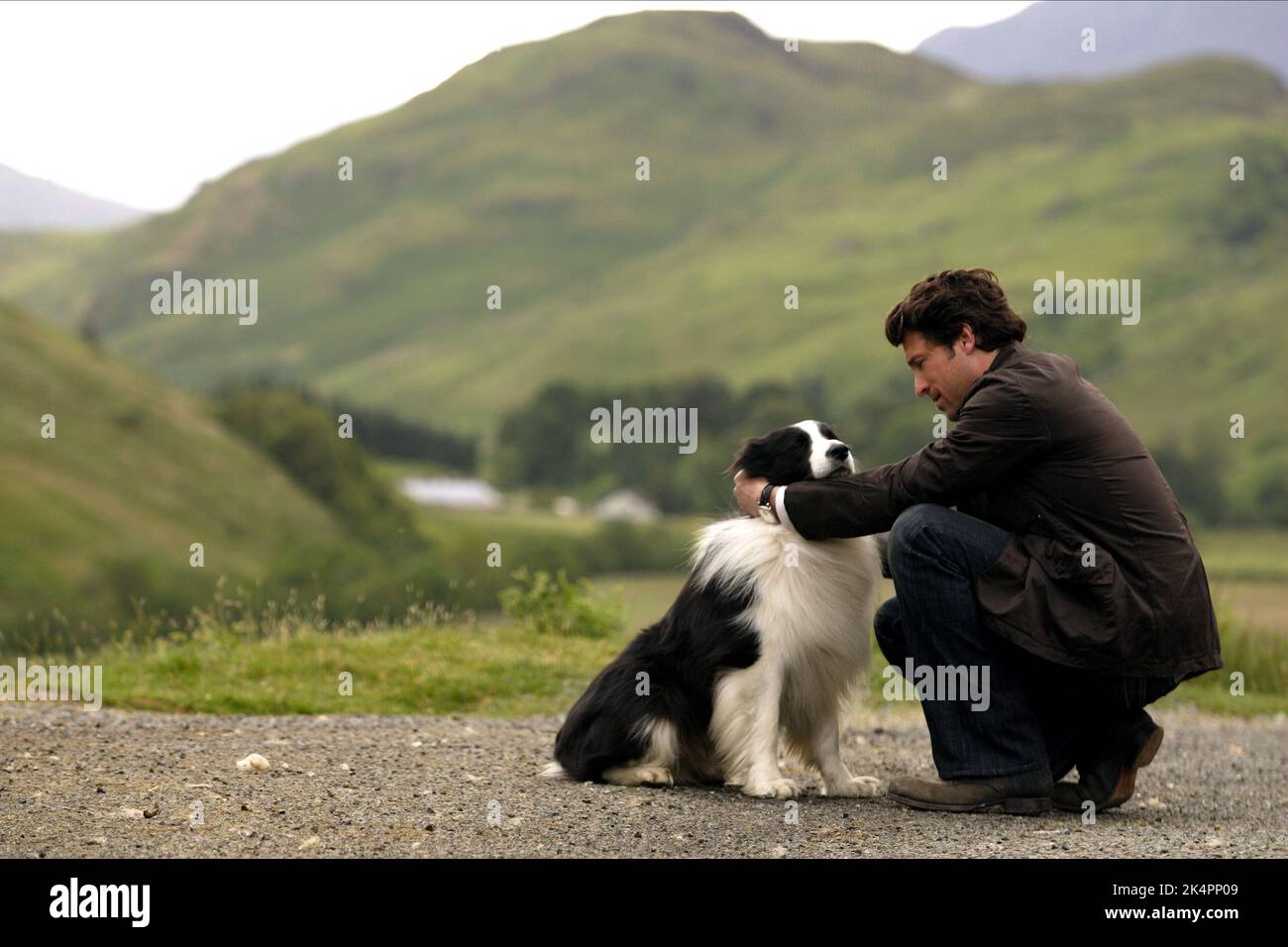 DEMPSEY,DOG, MADE OF HONOR, 2008 Stock Photo - Alamy