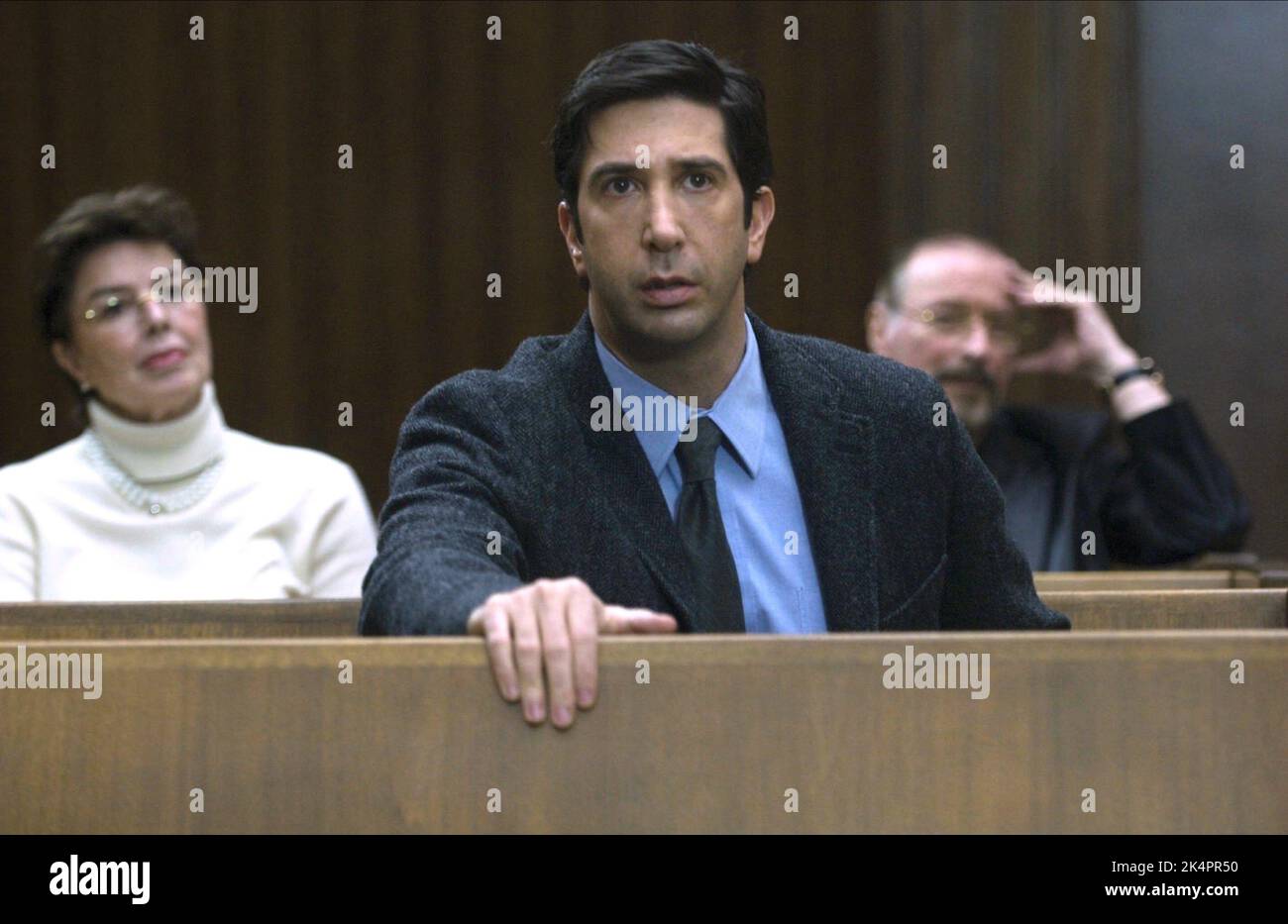 DAVID SCHWIMMER, NOTHING BUT THE TRUTH, 2008 Stock Photo - Alamy DAVID SCHWIMMER, NOTHING BUT THE TRUTH, 2008 Stock Photo - Alamy