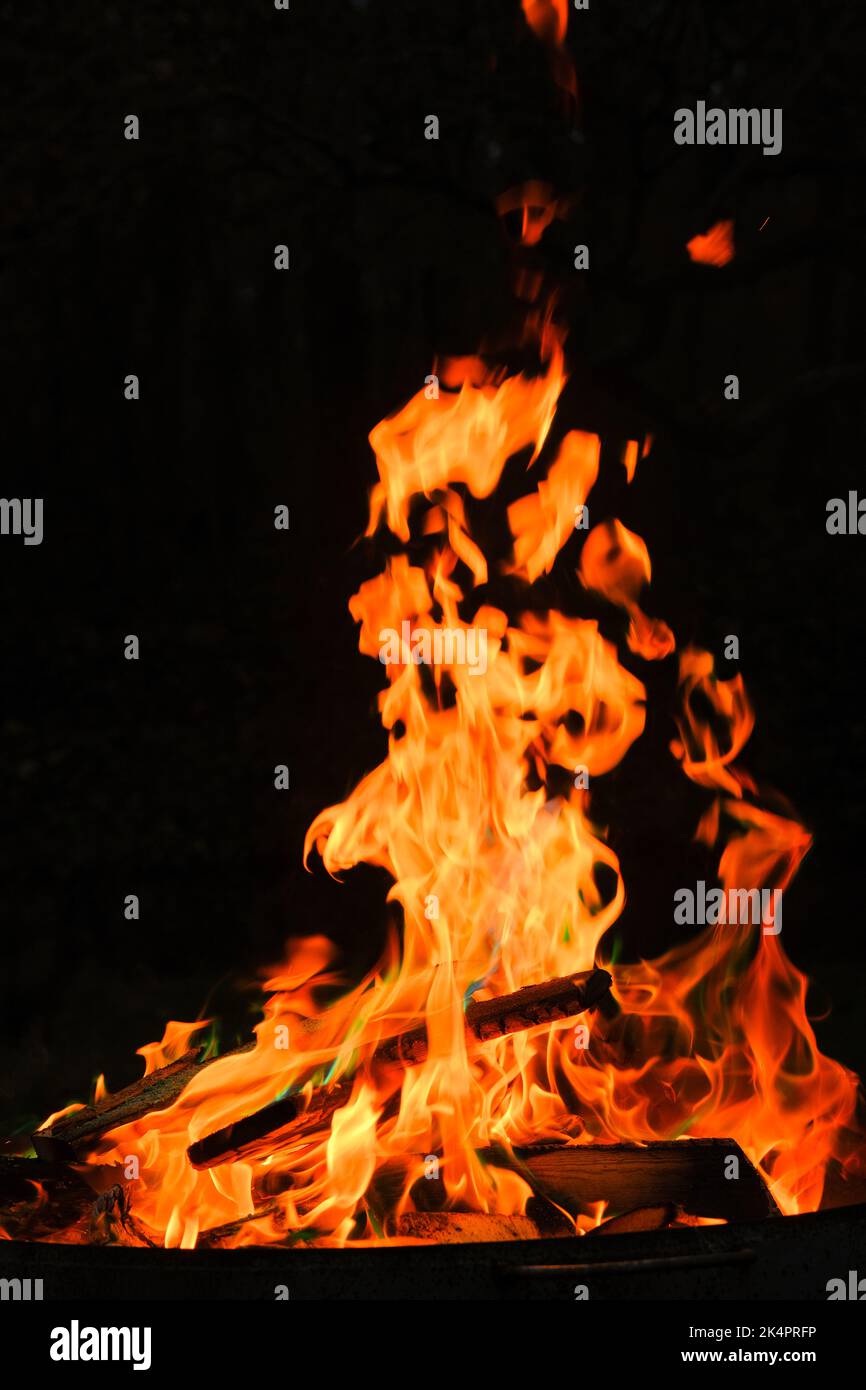 Firewood burning in bonfire. Flames on a black background.Fireplace ...
