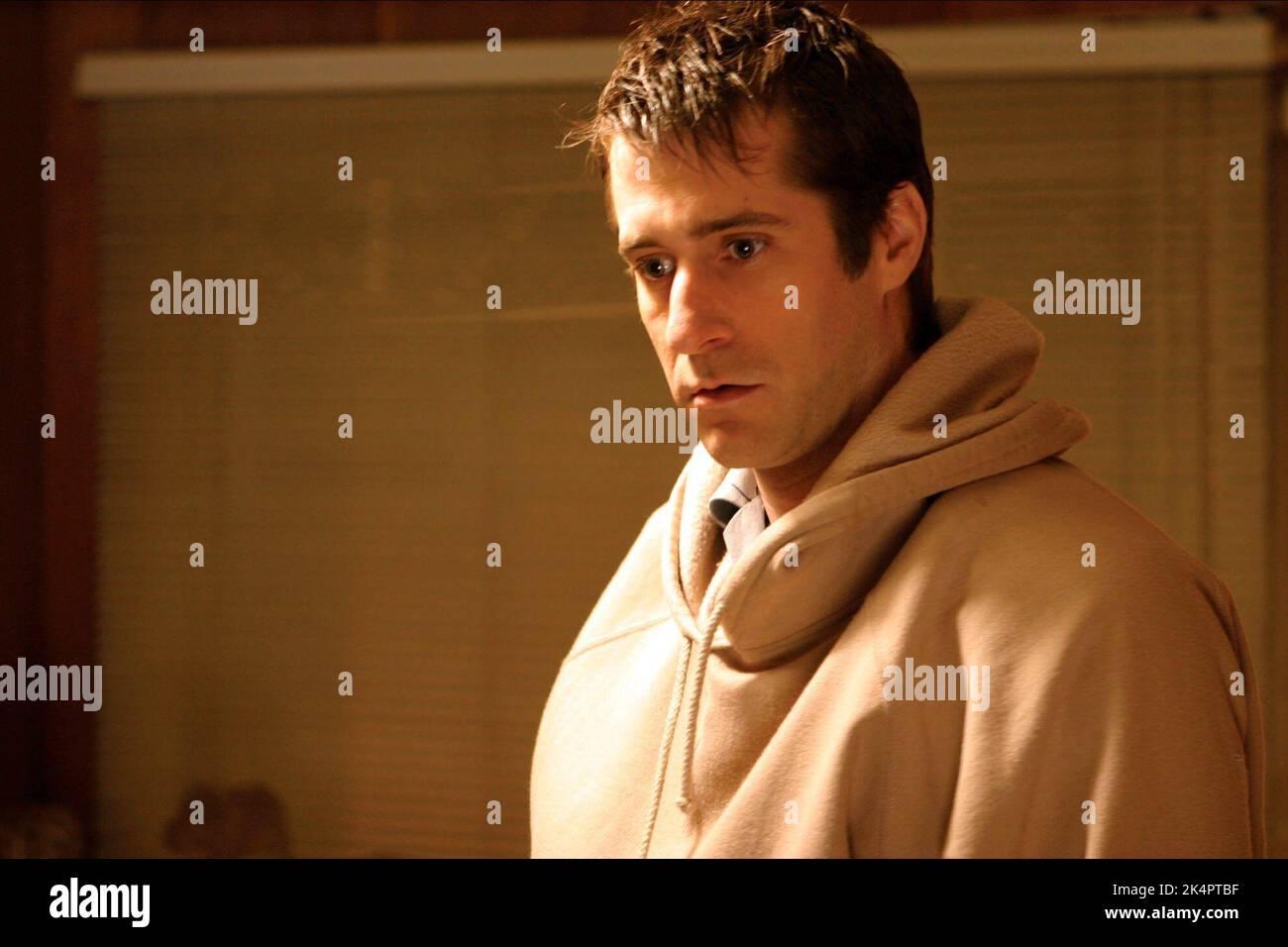 RICHARD GUNN, GARDEN PARTY, 2008 Stock Photo - Alamy