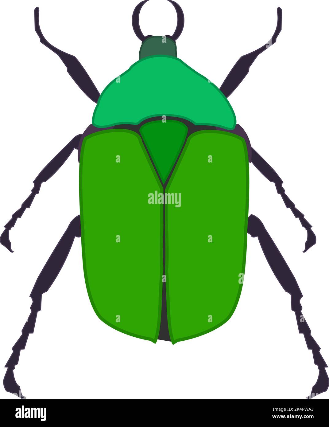 Green beetle bug, illustration, vector on a white background Stock ...