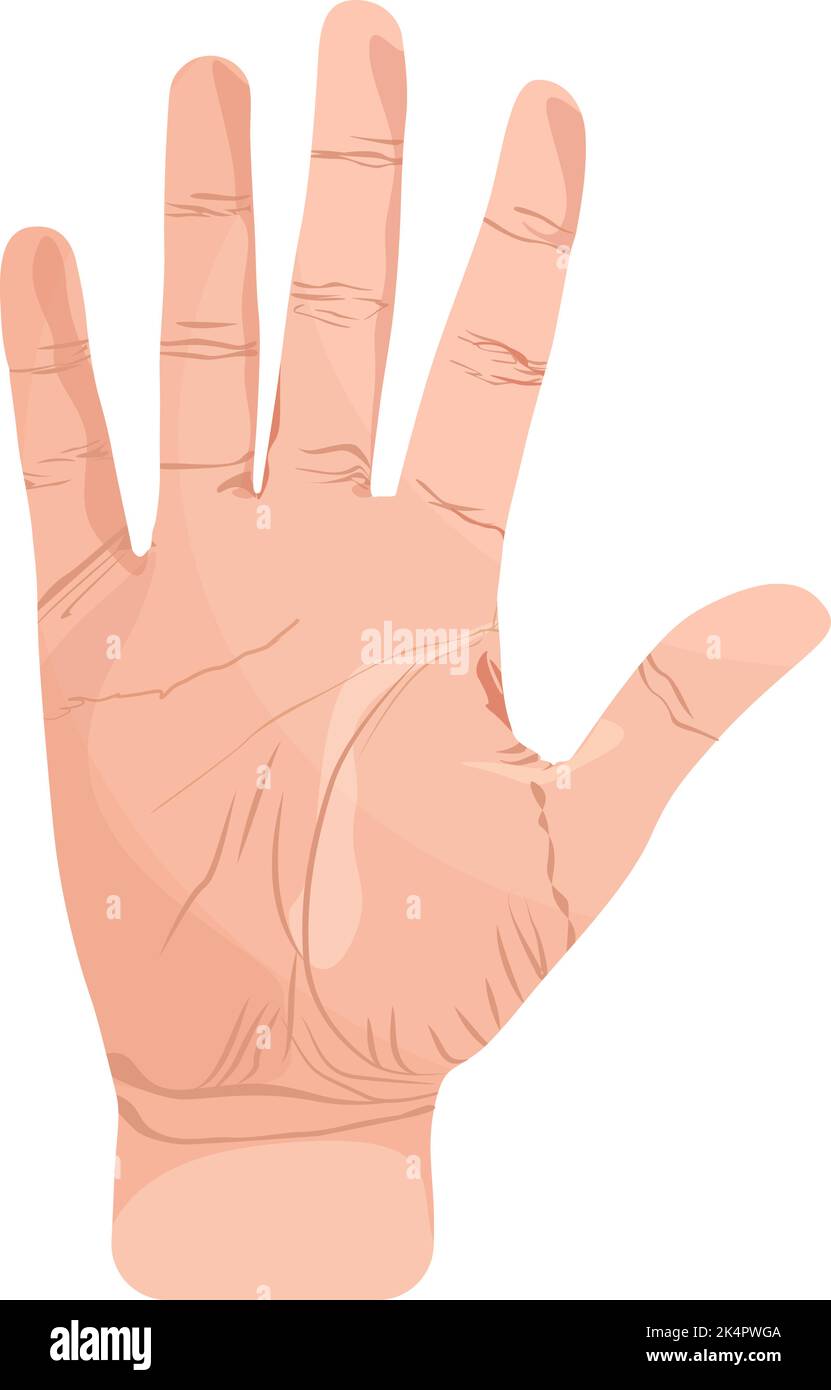 Human palm Stock Vector Images - Alamy