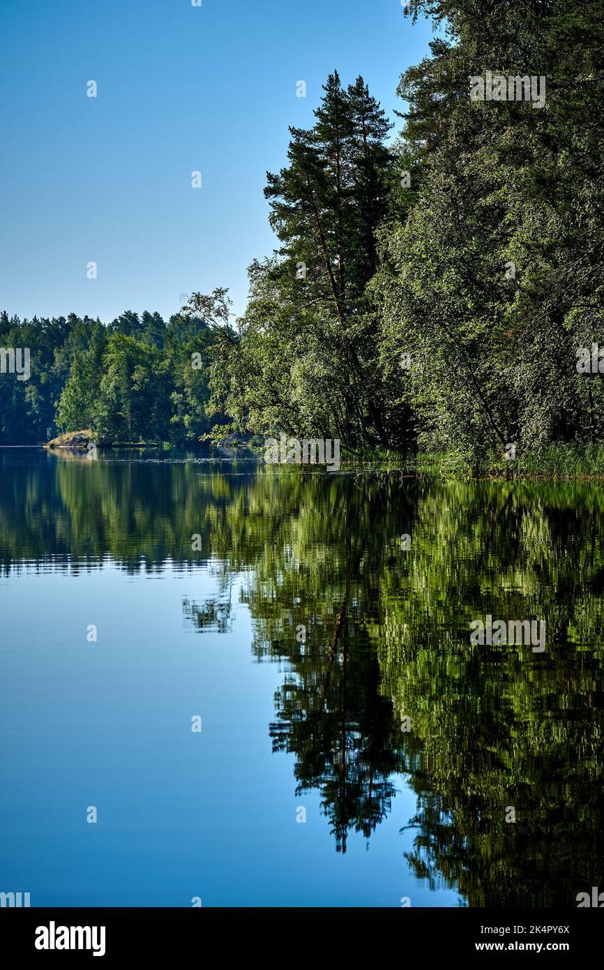 A scenic vertical shot of the Mississippi river with dense vegetation ...