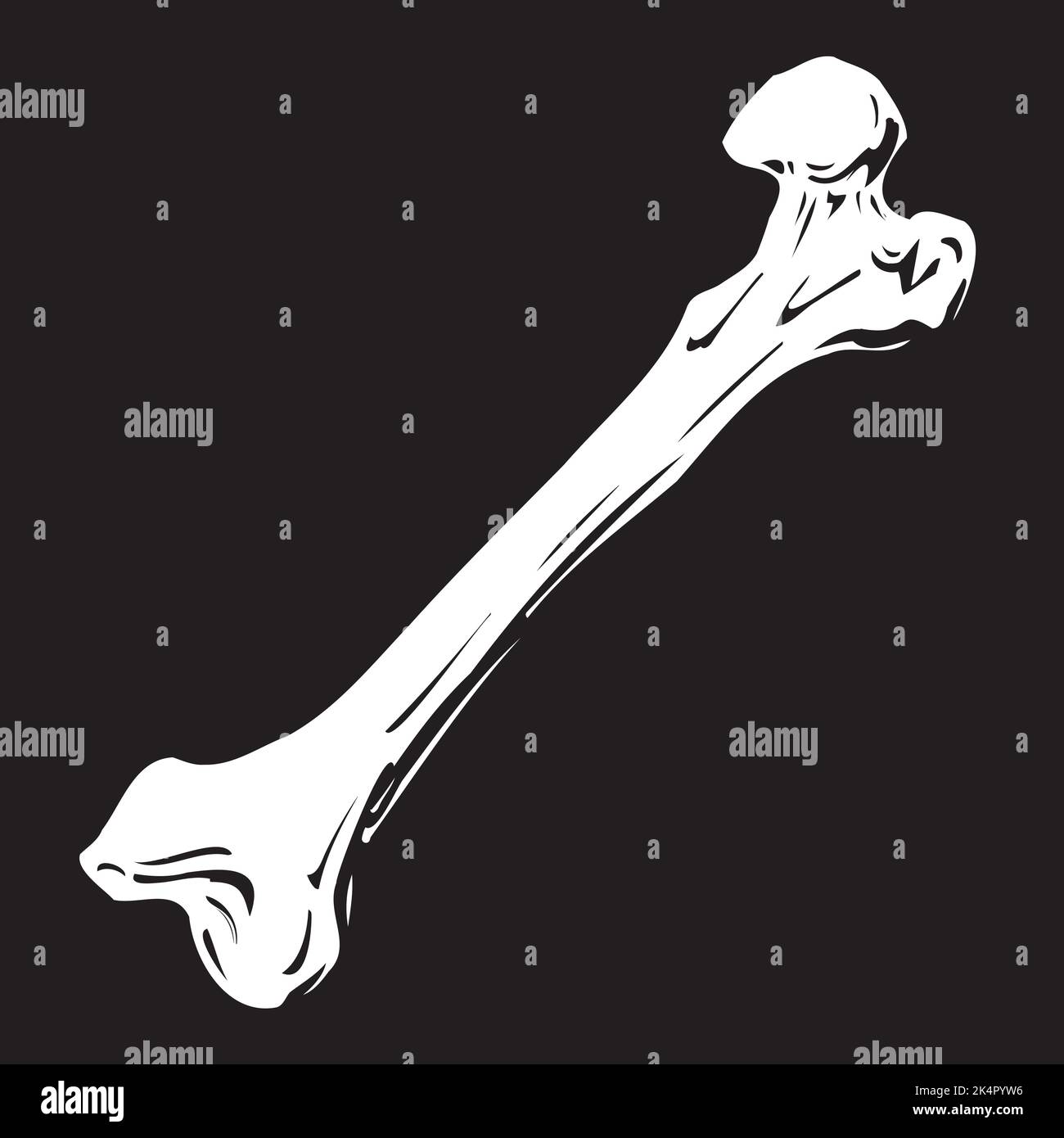 Bone on Black and White Stock Photos & Images - Alamy