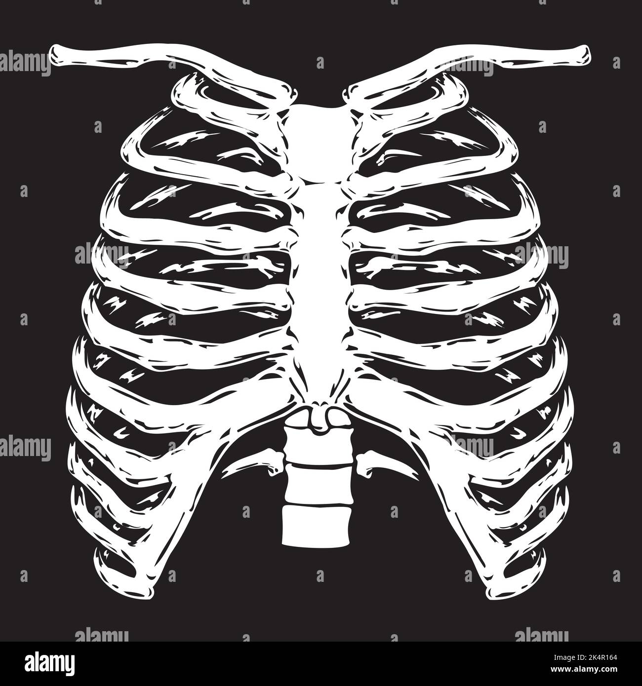 A white ribcage on the black background Stock Vector Image & Art - Alamy