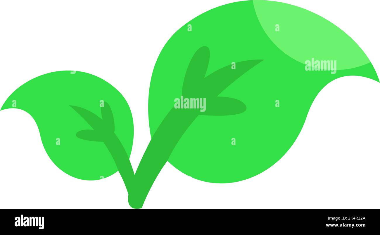 Green leaves , illustration, vector on a white background Stock Vector ...