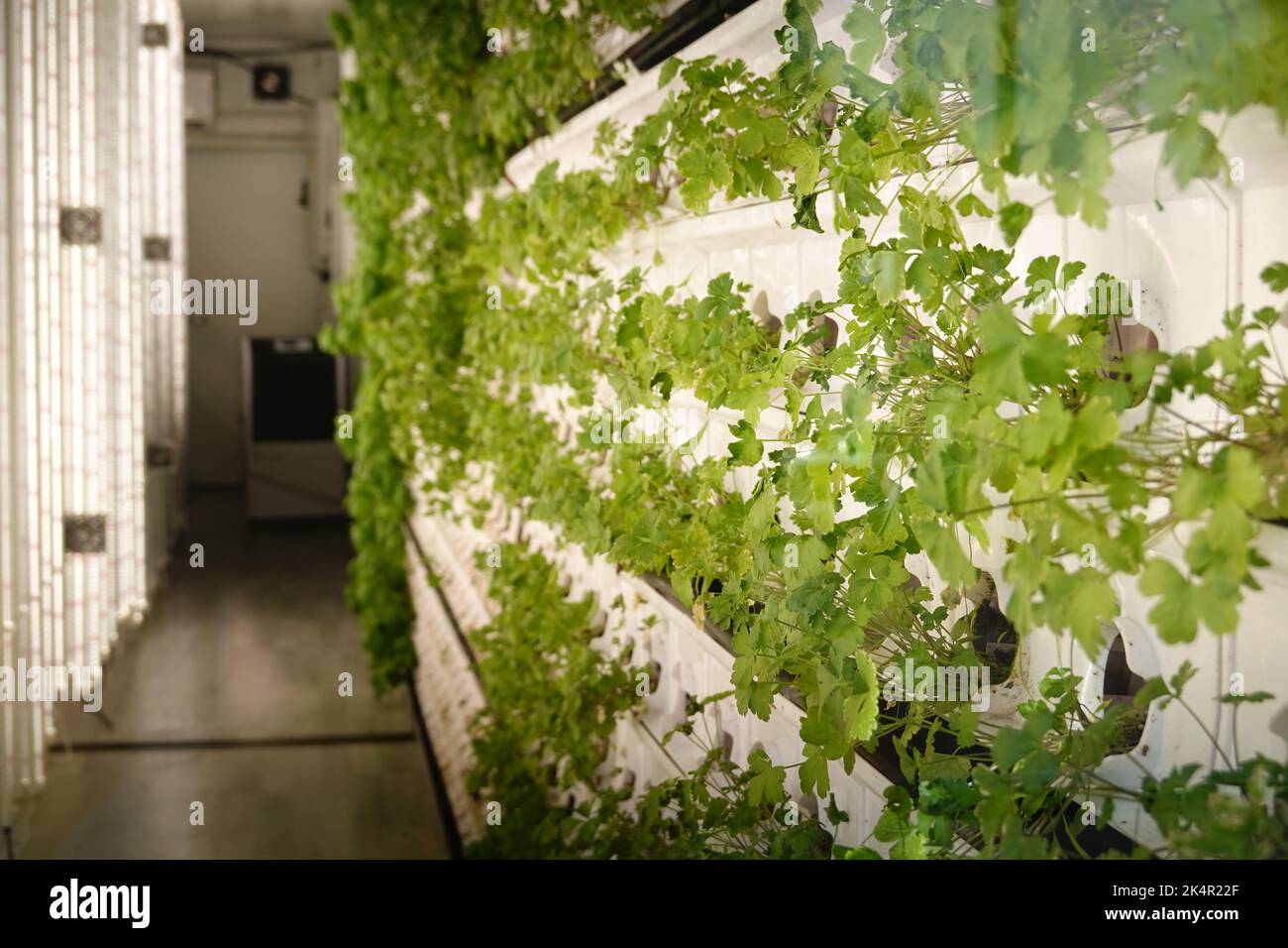 Netanya. 3rd Oct, 2022. Photo taken on Oct. 3, 2022 shows a portable ...