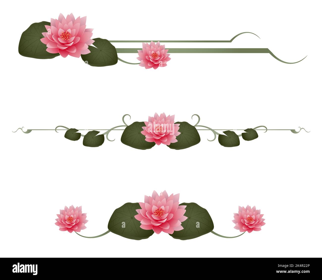 A variety of water lily divider lines on white background Stock Vector ...