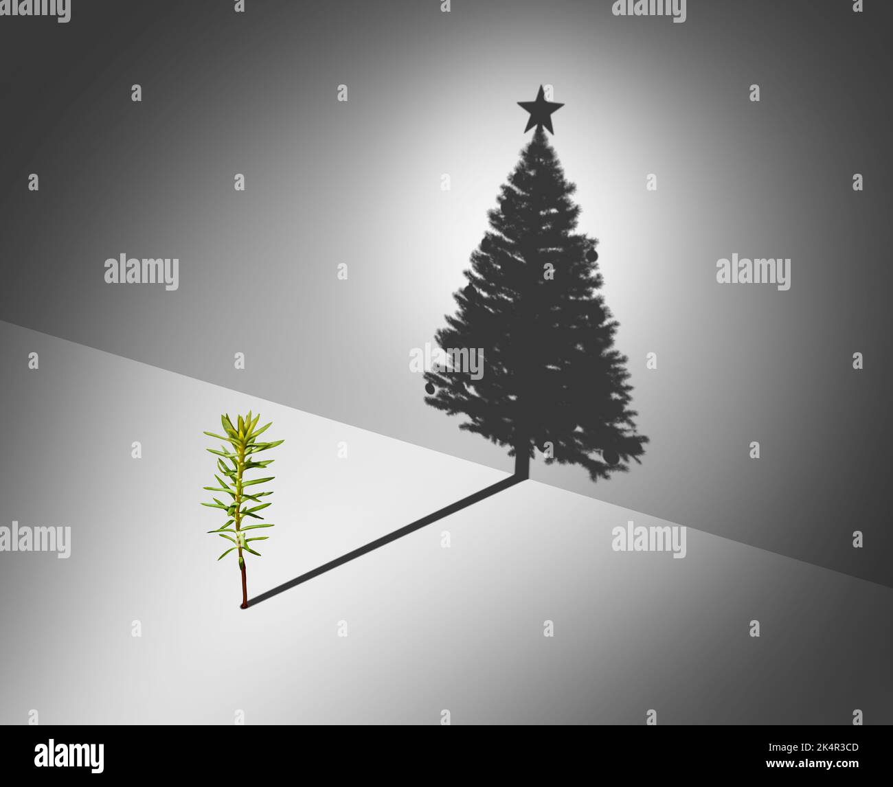 Holiday Season Aspirations concept as a pine tree sapling dreaming of ...